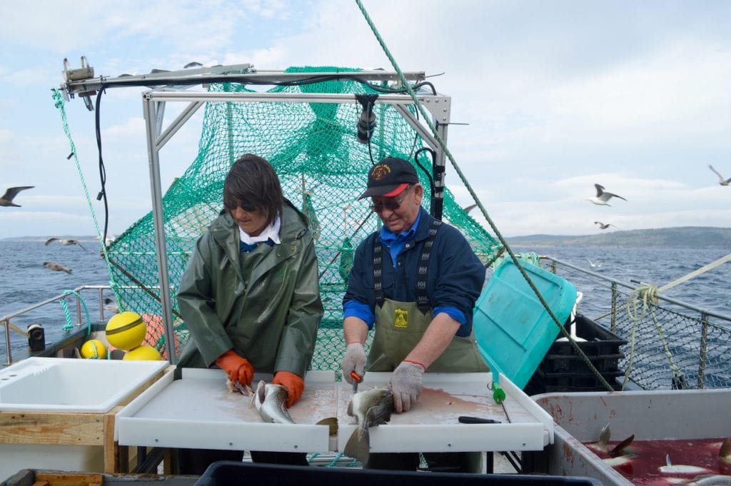 Bluefin w/Hand. Line. Cod., Cod-Pot Fishing Fogo & The Seafood Shop ...