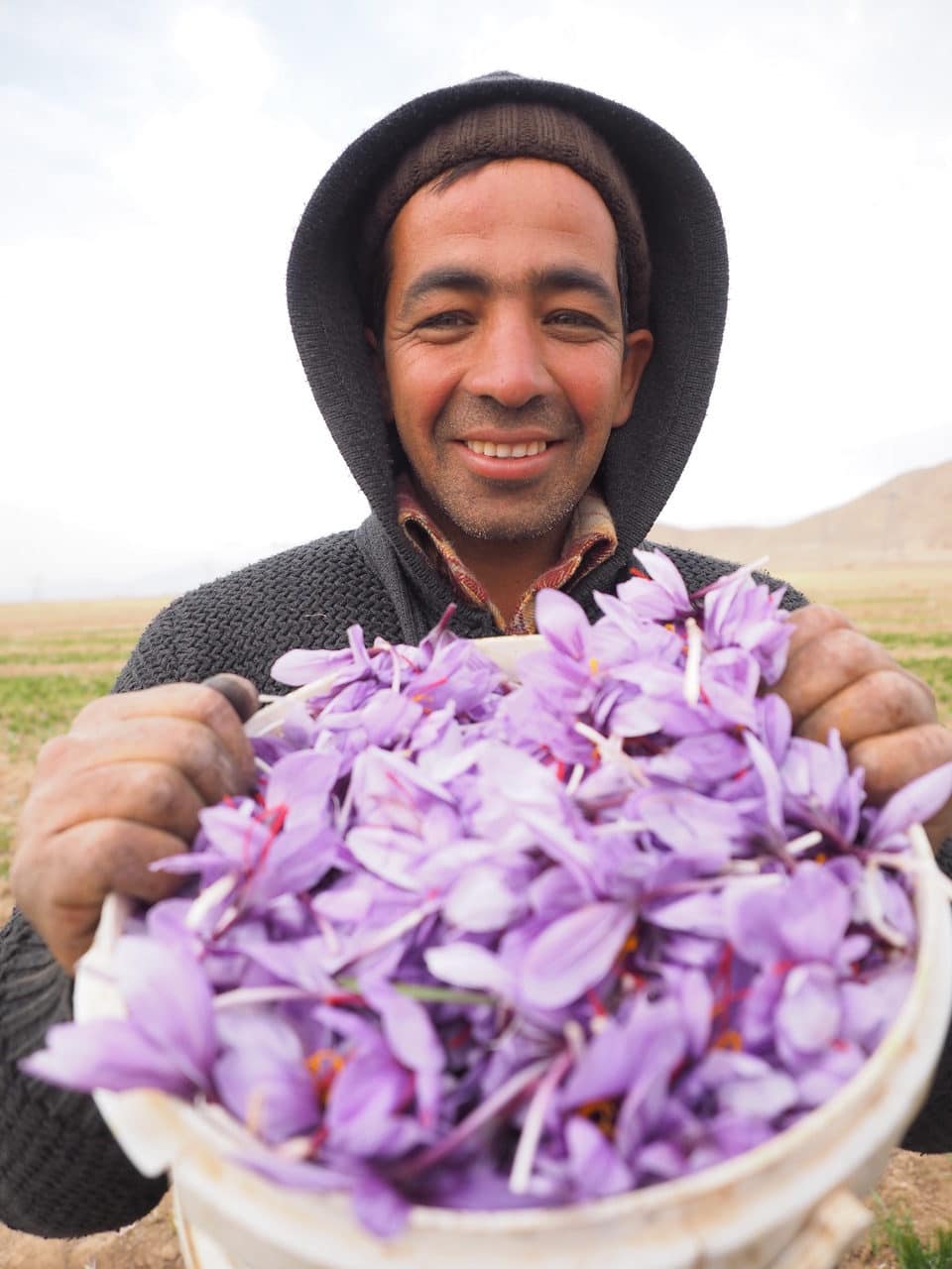 Shorts Program: The Quest for Taste w/Beyond the Plate: Eric Wolfinger ...