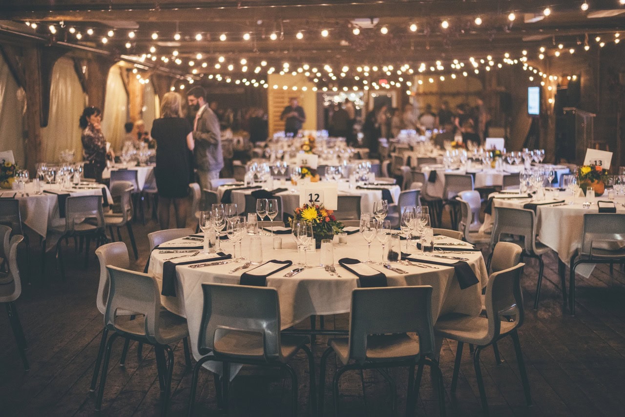 A Veritable Feast of Elevated Gastronomy and Thought-Provoking Film ...